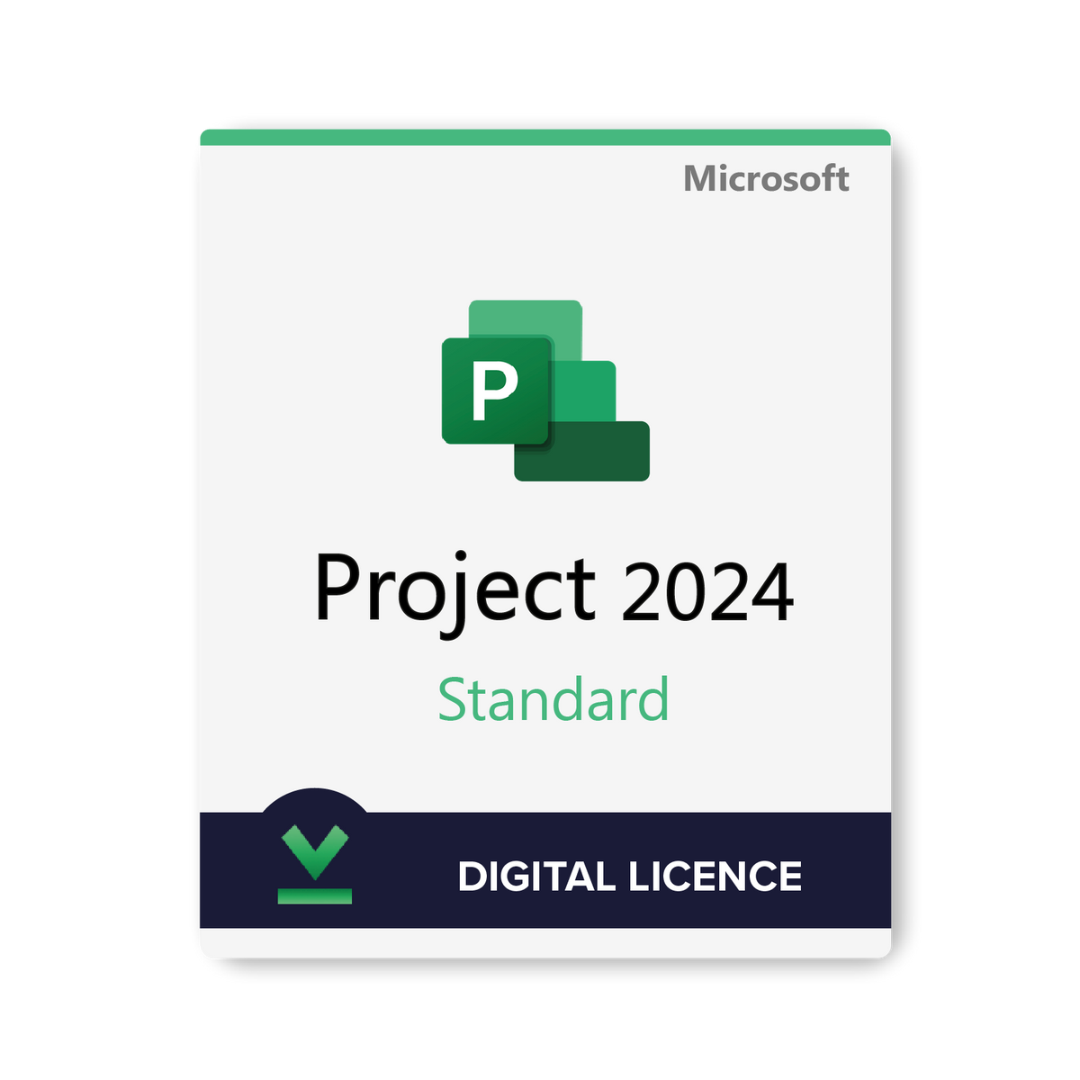 Acheter Project Professional 2024 | Livraison numérique | LicenceDeals.com
